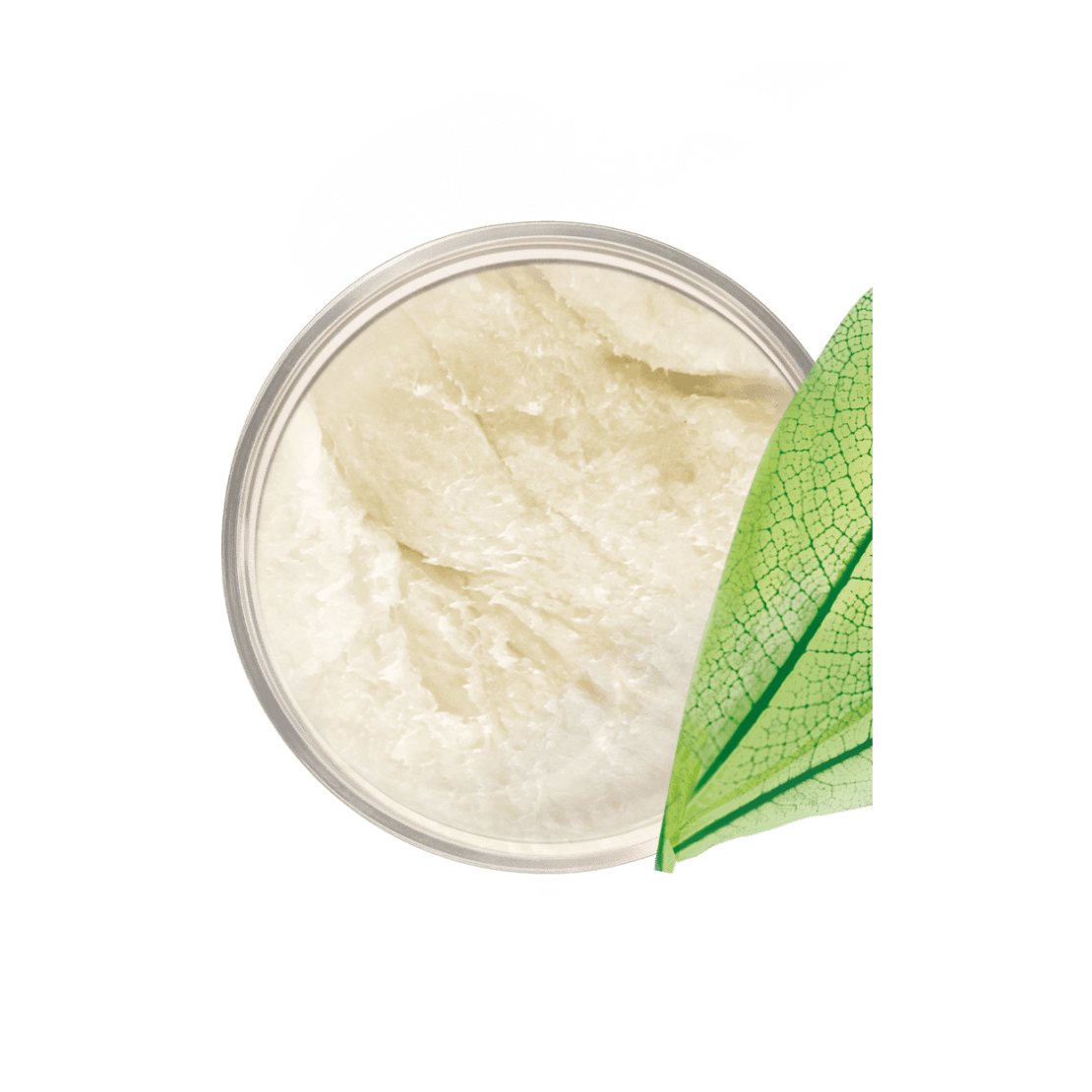 Baume Corps au Beurre de Karité et Huile de Riz - Dr Pierre Ricaud